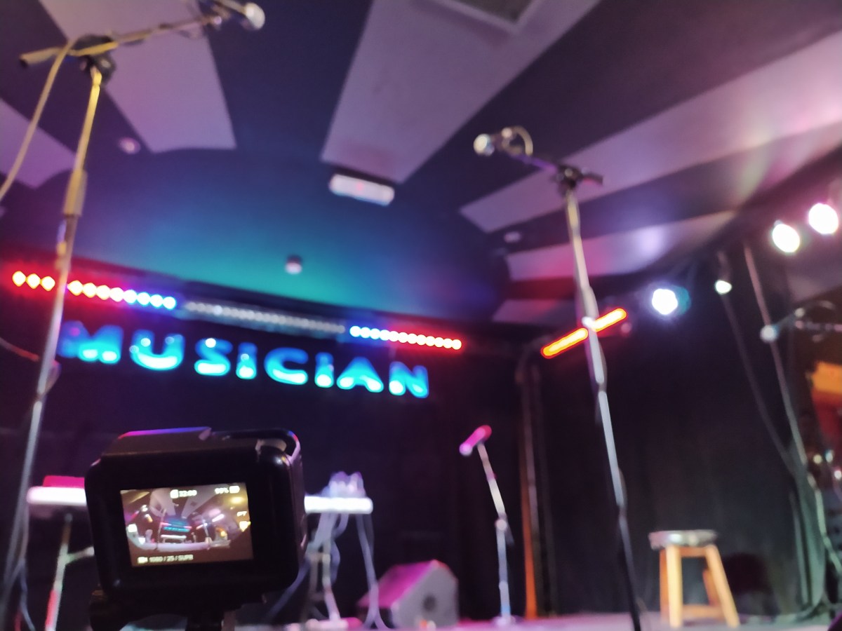 The Musician Review 2023 – Guerrilla Nature