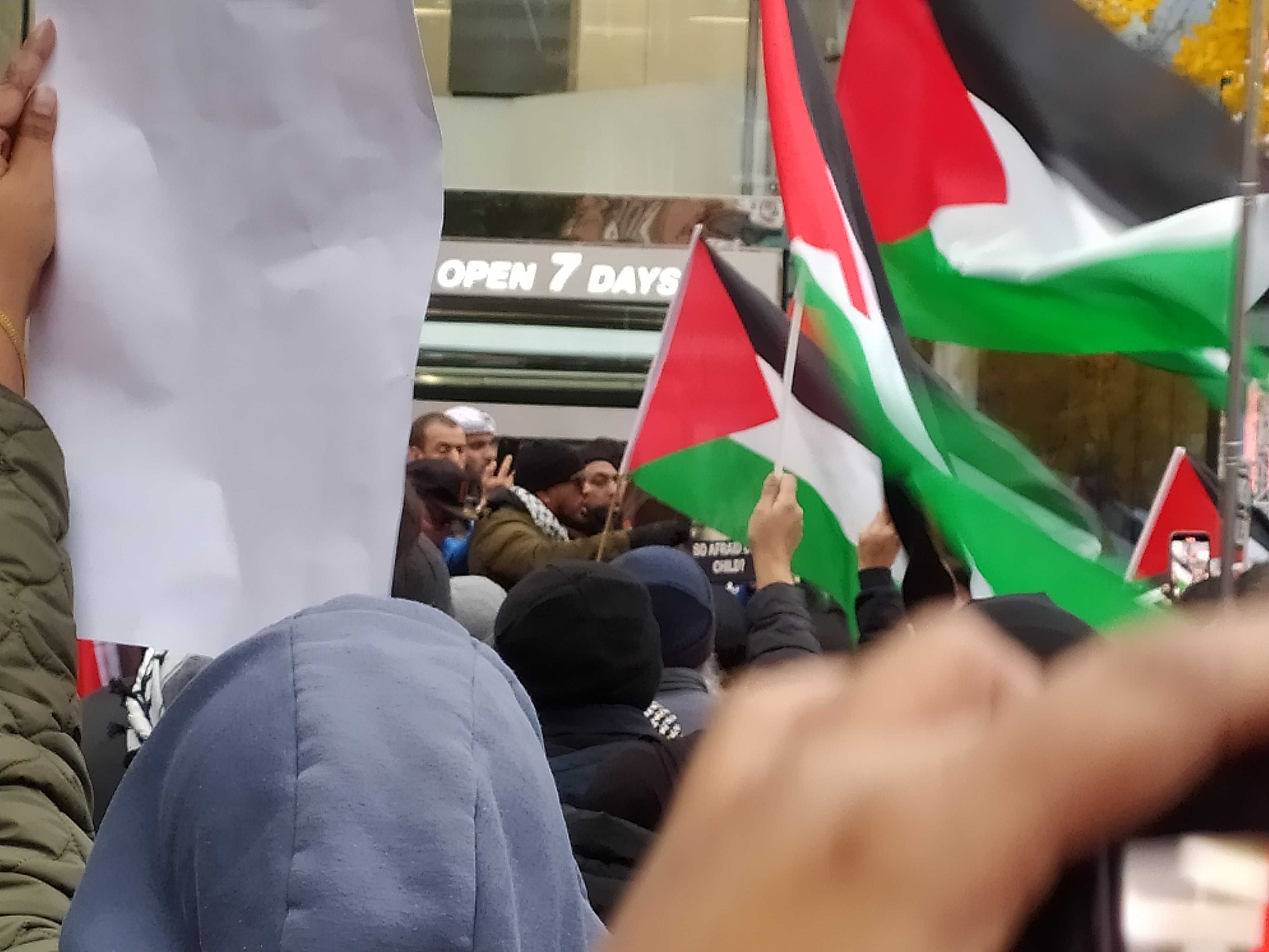 Palestine Support Rally – Guerrilla Nature